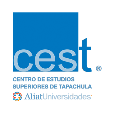 Licenciatura en Derecho: todo lo que necesitas saber | CEST